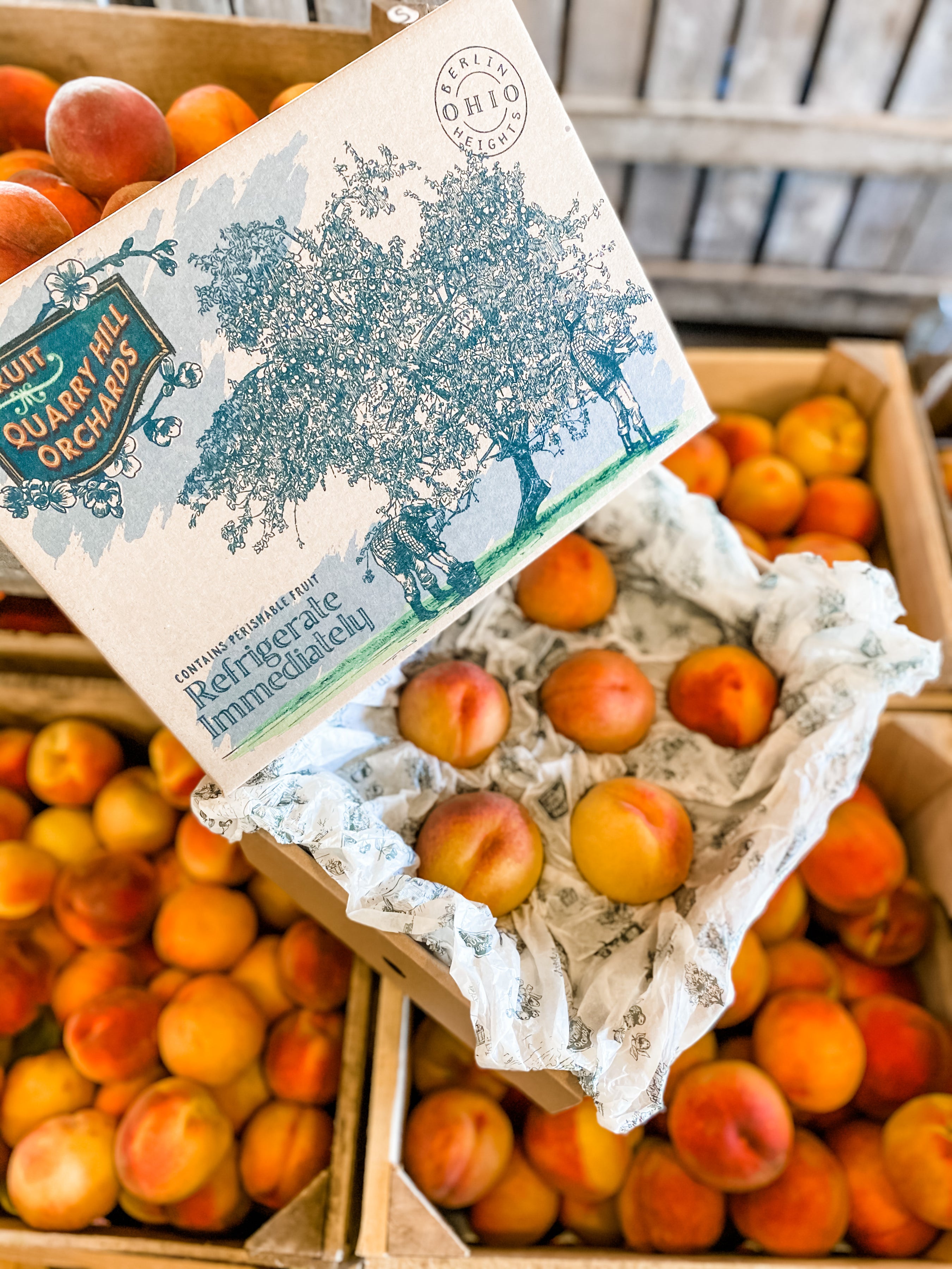 Fruit – Quarry Hill Orchards