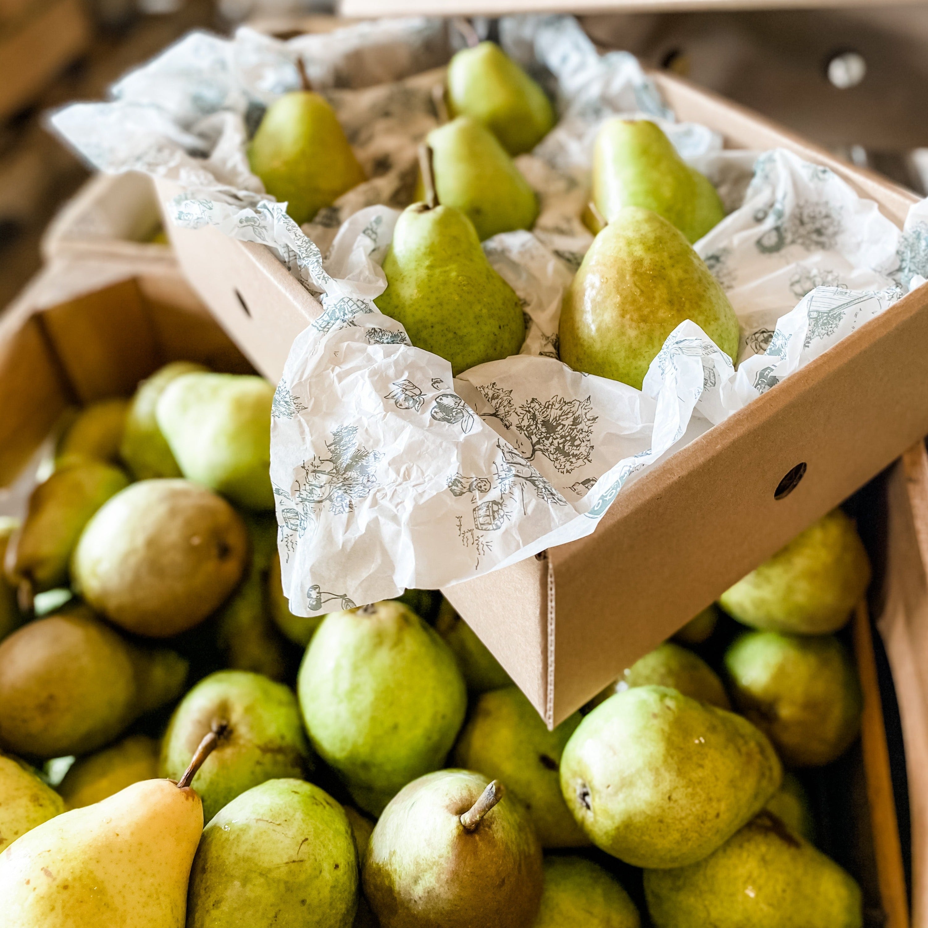 Market Barn Pear Box – Quarry Hill Orchards